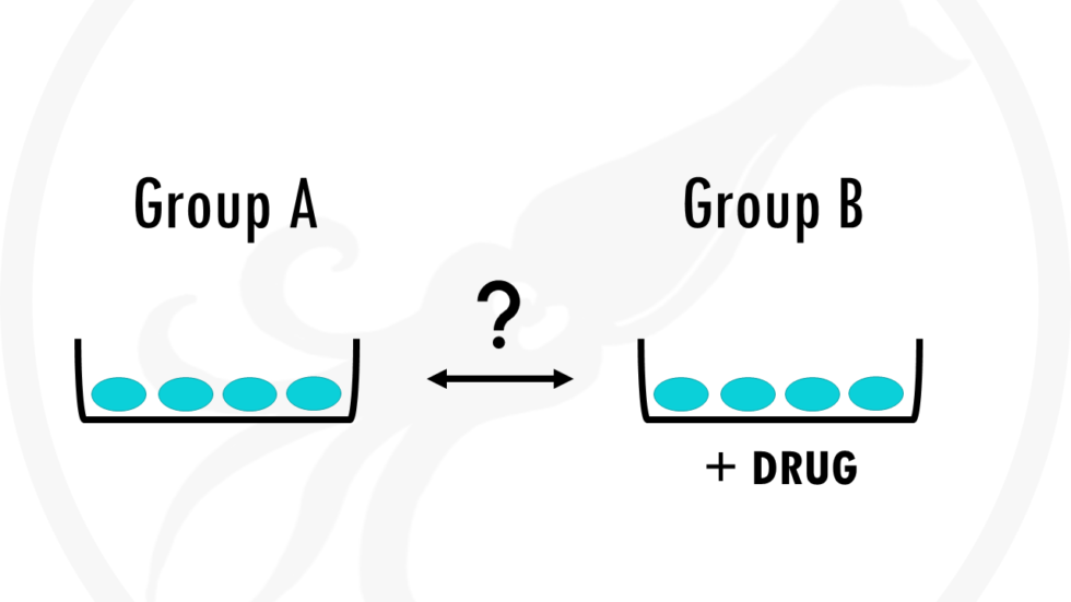 How to interpret a volcano plot