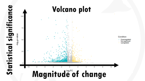 How to interpret a volcano plot