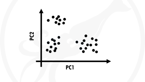 Principal Component Analysis (PCA) simply explained - biostatsquid.com