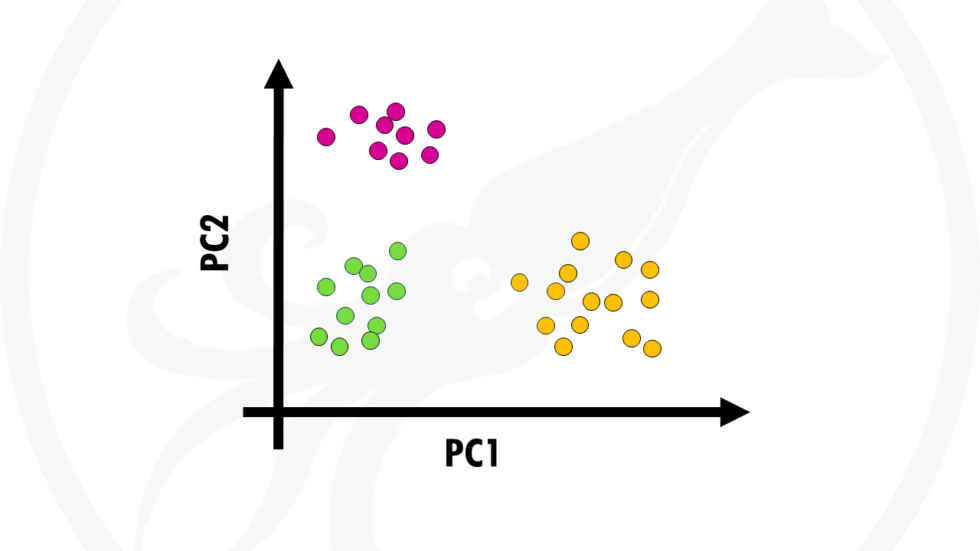 Principal Component Analysis (PCA) simply explained - biostatsquid.com