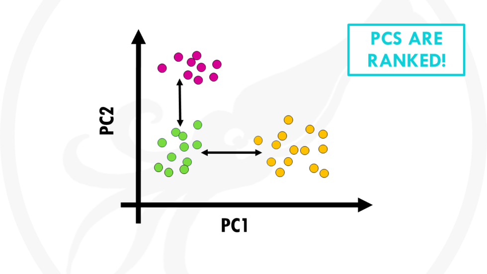 Principal Component Analysis (PCA) simply explained - biostatsquid.com