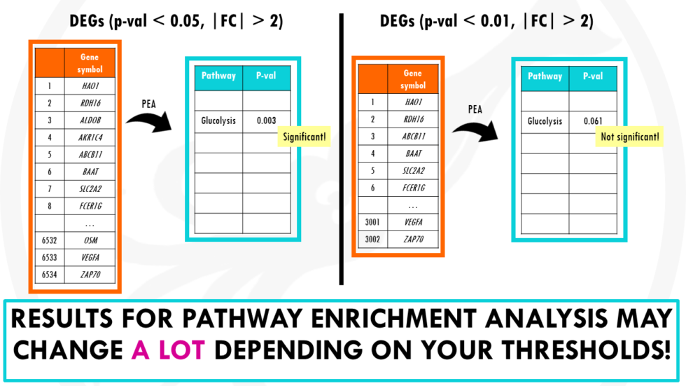 Gene Set Enrichment Analysis (GSEA) – simply explained! - biostatsquid.com