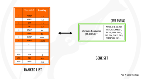 Gene Set Enrichment Analysis (GSEA) – simply explained! - biostatsquid.com