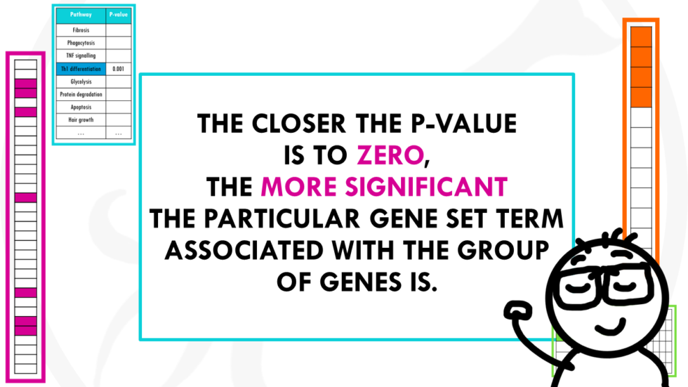 Pathway enrichment analysis for DGE – simply explained - biostatsquid.com