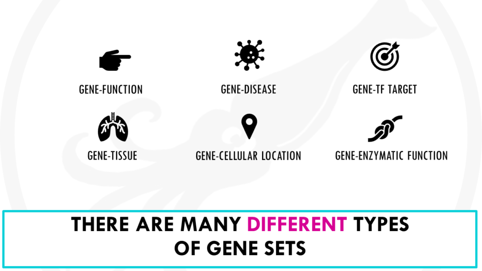 Pathway enrichment analysis for DGE – simply explained - biostatsquid.com