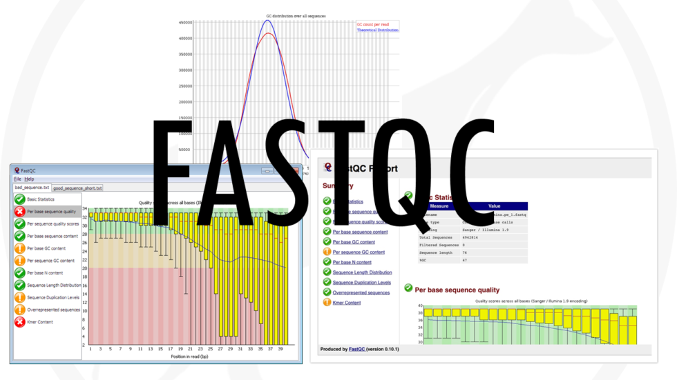 Quality Check, Processing and Alignment of Sequencing Reads R tutorial ...
