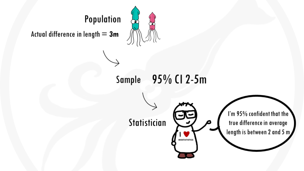 Easy confidence intervals and p-values - biostatsquid.com