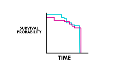 Kaplan-Meier curve – easily explained! - biostatsquid.com