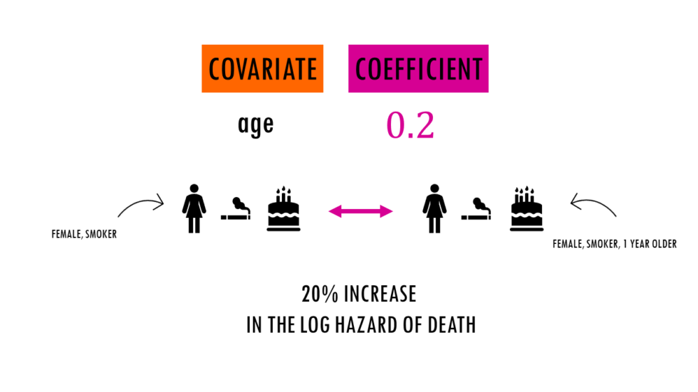 Easy Cox regression for survival analysis - biostatsquid.com