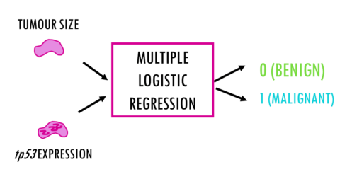 Logistic regression – easily explained! - biostatsquid.com