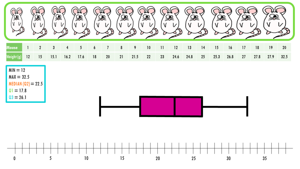How to interpret boxplots and violin plots - biostatsquid.com