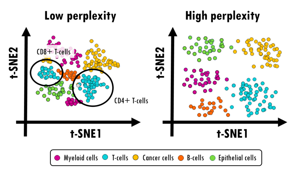 Easy t-SNE – explained with an example - biostatsquid.com