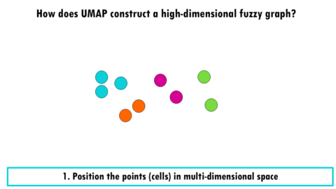 Easy UMAP – explained with an example - biostatsquid.com