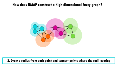 Easy UMAP – explained with an example - biostatsquid.com