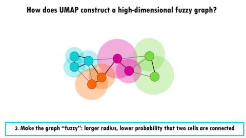 Easy UMAP – explained with an example - biostatsquid.com