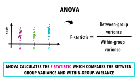 ANOVA (analysis of variance) easily explained - biostatsquid.com