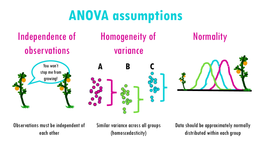 ANOVA (analysis of variance) easily explained - biostatsquid.com