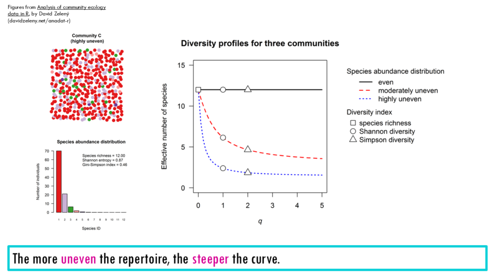 Hill numbers and diversity profiles simply explained - biostatsquid.com