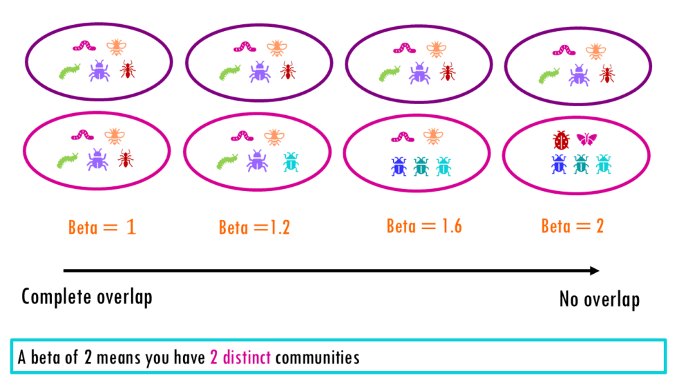 Beta diversity: Jaccard, Bray-Curtis, NMDS, PCoA and PERMANOVA ...