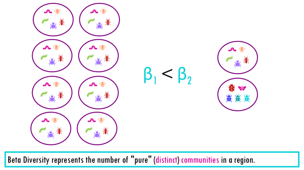 Beta diversity: Jaccard, Bray-Curtis, NMDS, PCoA and PERMANOVA ...