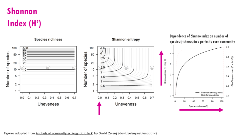 Diversity metrics simply explained: Shannon, Simpson, Chao1 ...