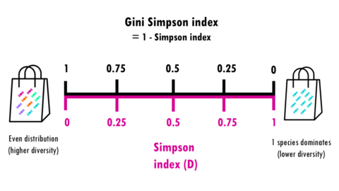 Diversity metrics simply explained: Shannon, Simpson, Chao1 ...