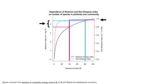 Diversity metrics simply explained: Shannon, Simpson, Chao1 ...