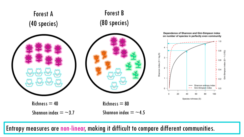 Hill numbers and diversity profiles simply explained - biostatsquid.com