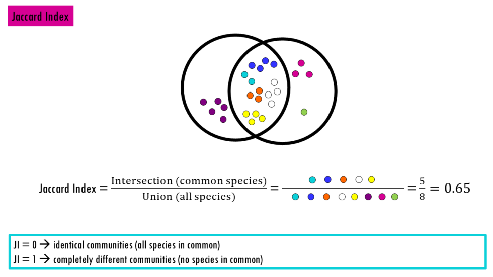 Beta diversity: Jaccard, Bray-Curtis, NMDS, PCoA and PERMANOVA ...